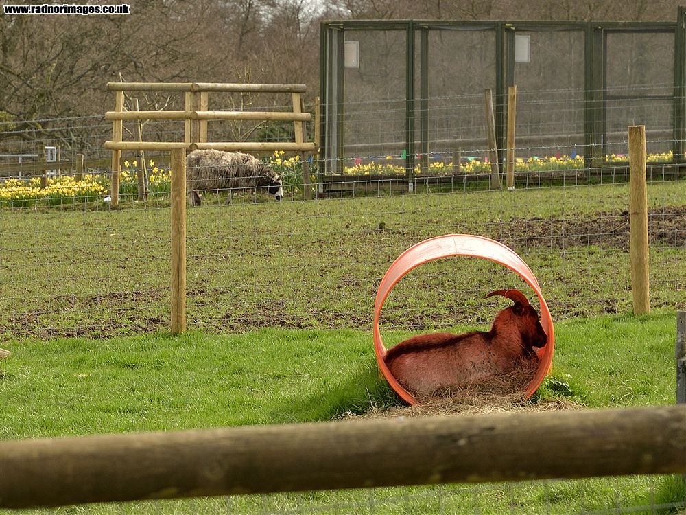 Godstone Farm, picture 1 of 5