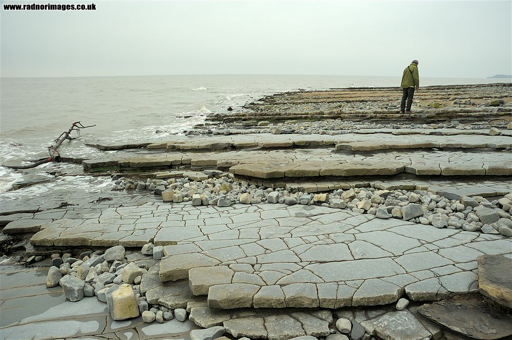 Lavernock point, picture 6 of 10