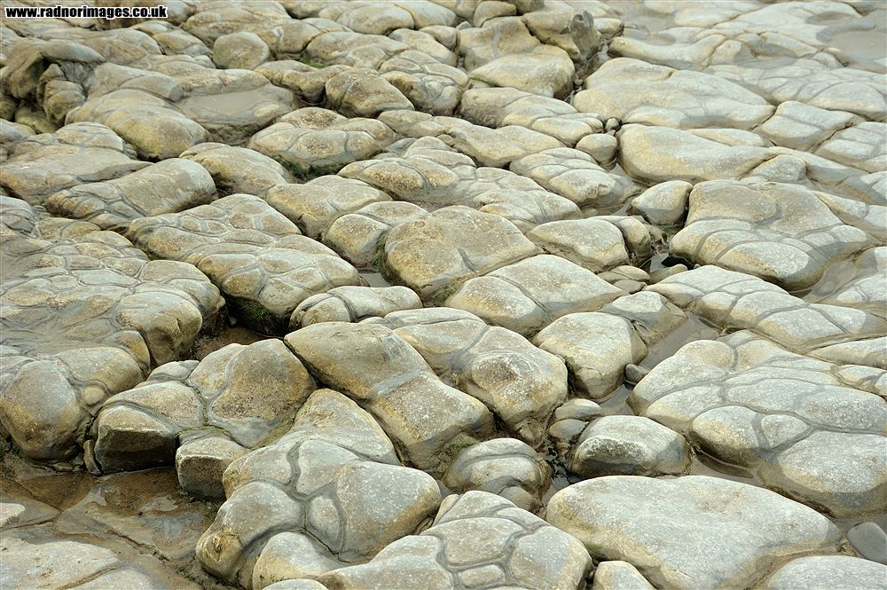 Lavernock Point, picture 6 of 10
